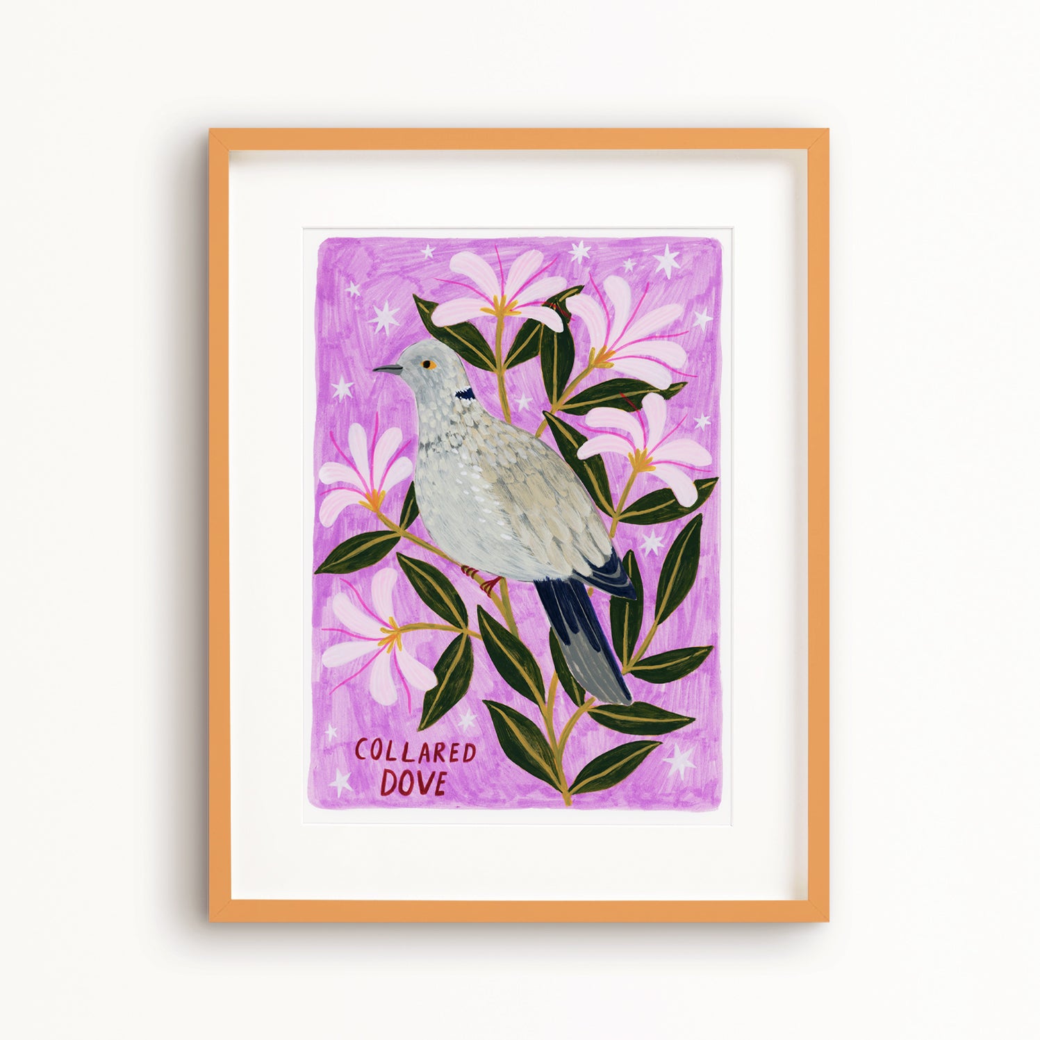 Collared Dove Bird Poster, Nature Art Print