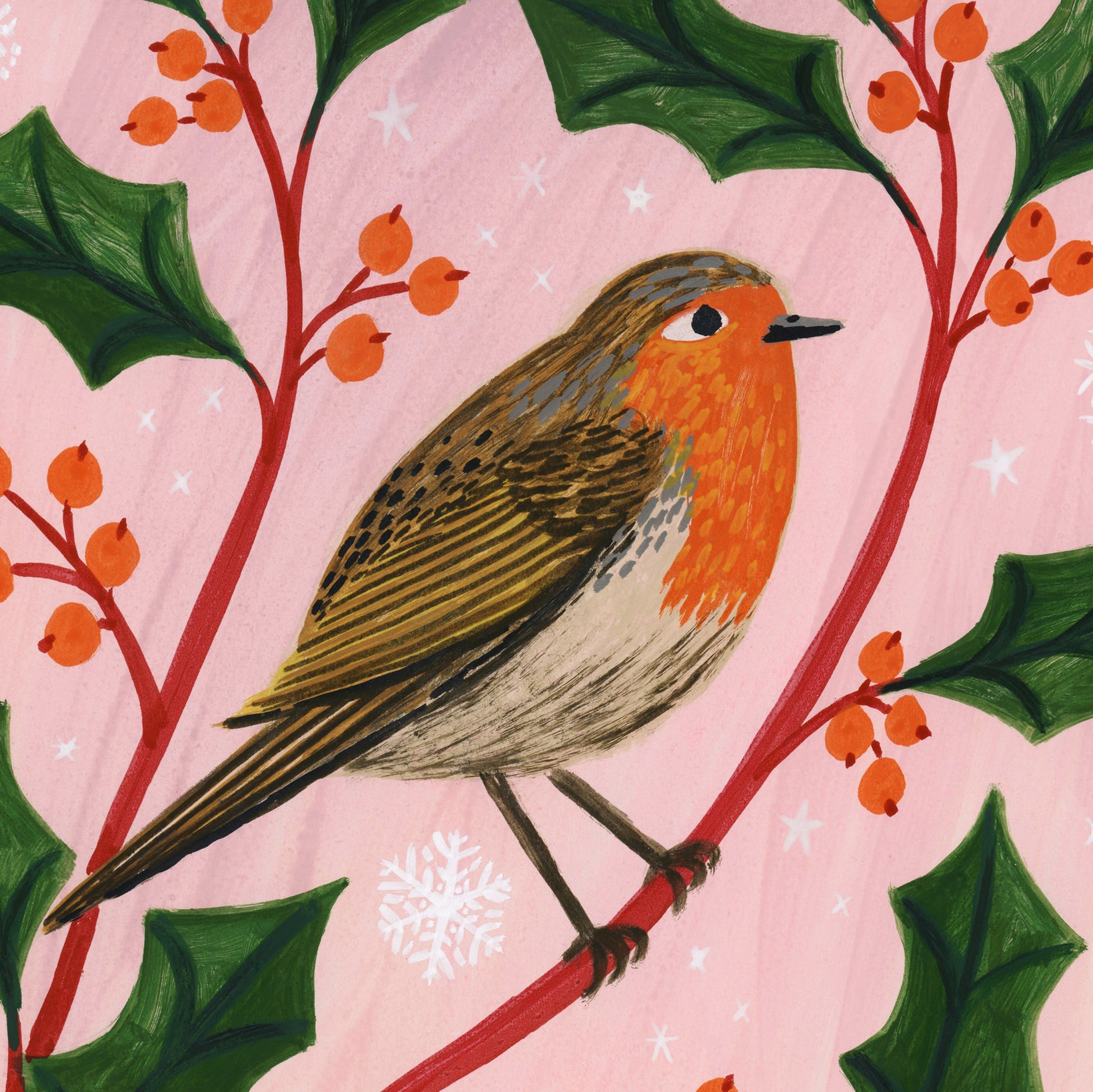 Robin Bird Art Print